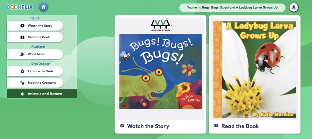 Ladybug Love in the Library - Little Library of Learning