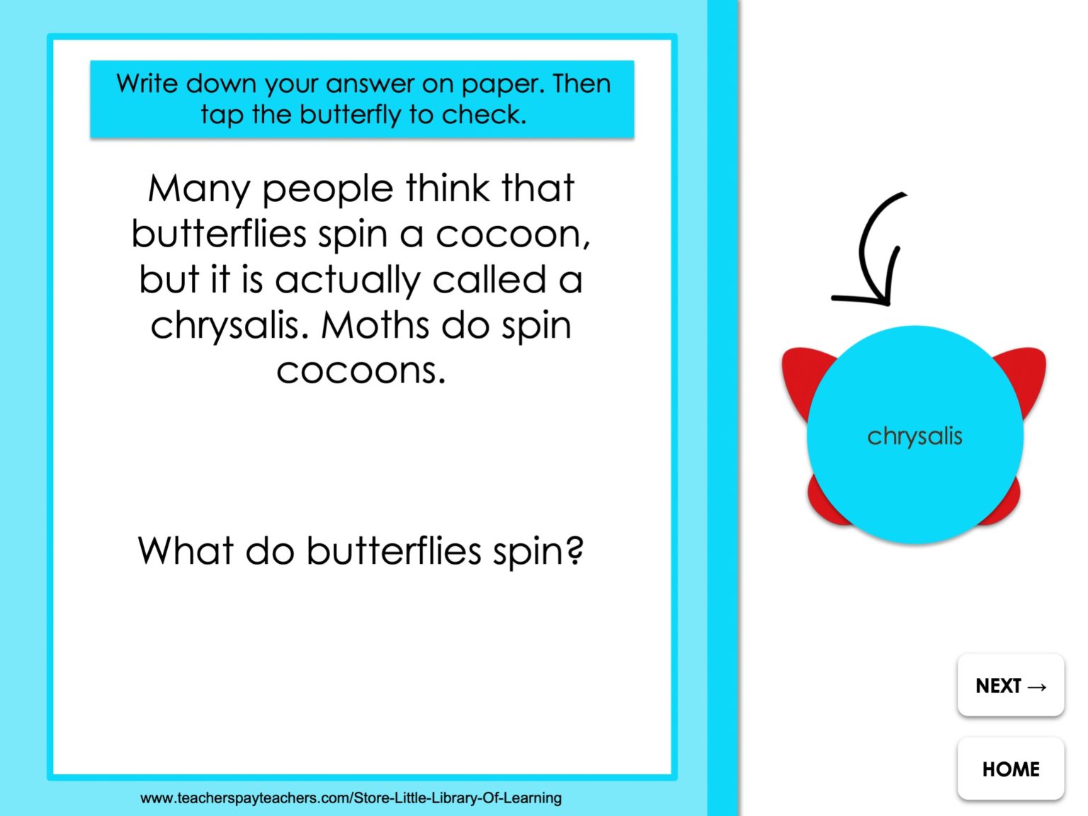 Springtime Activities in the Library - Little Library of Learning